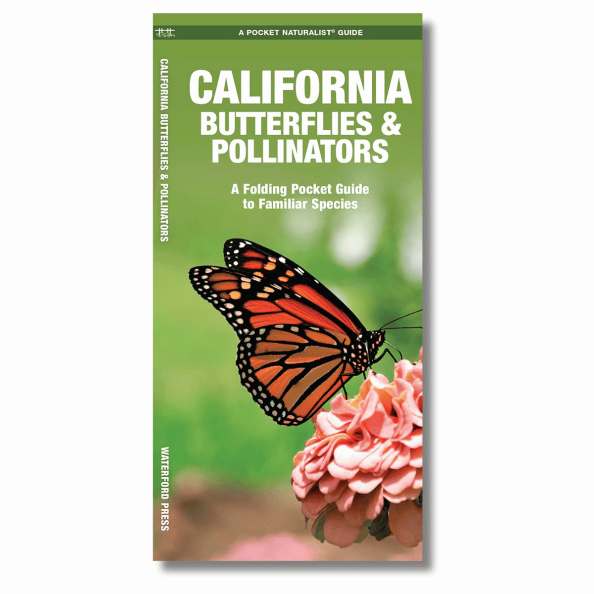 California Butterflies & Pollinators: A Folding Pocket Guide to Famili ...