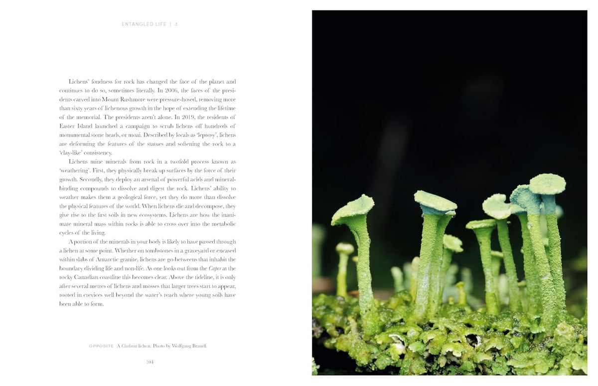 Entangled Life: The Illustrated Edition: How Fungi Make Our Worlds ...