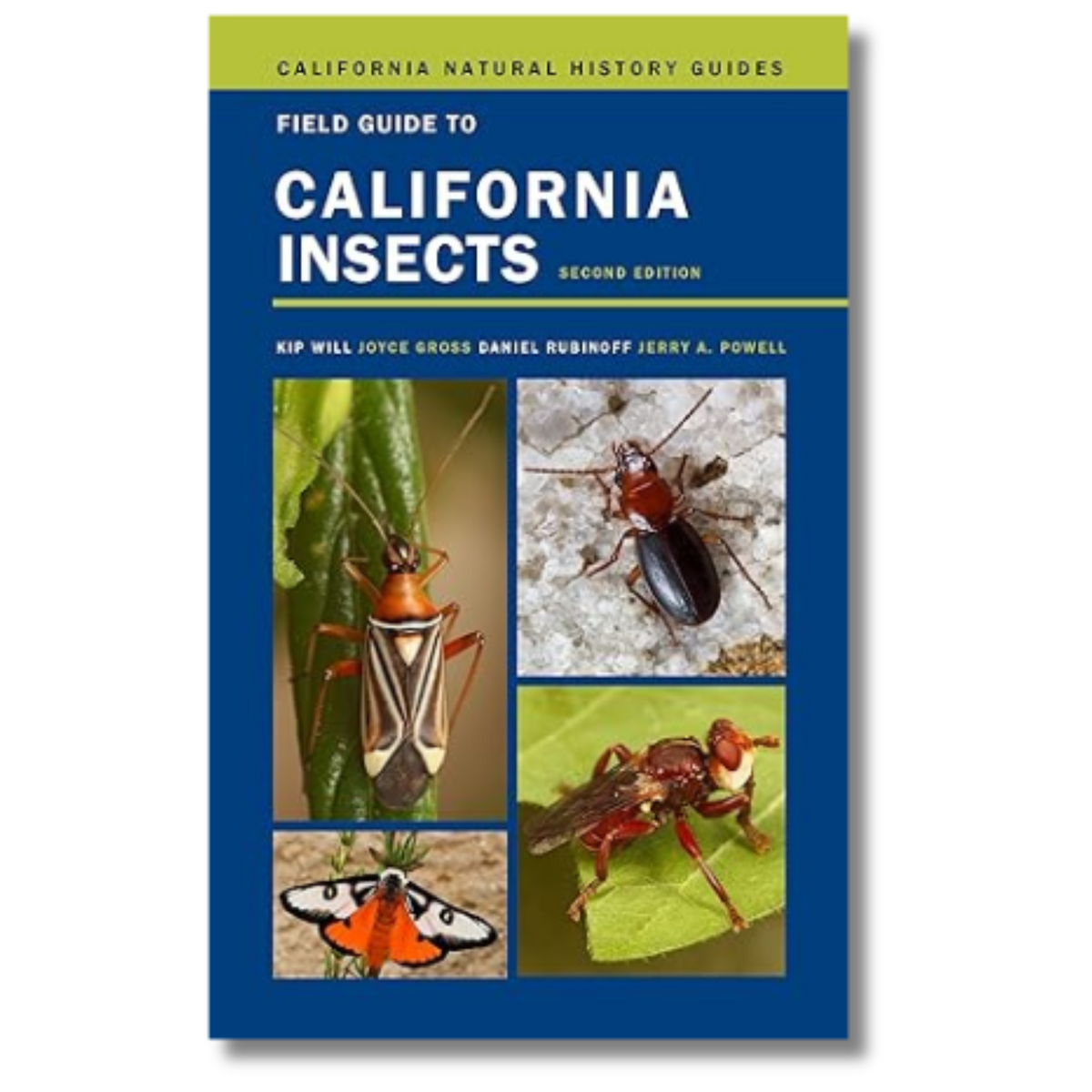Field Guide to California Insects – The ForestWatch Store