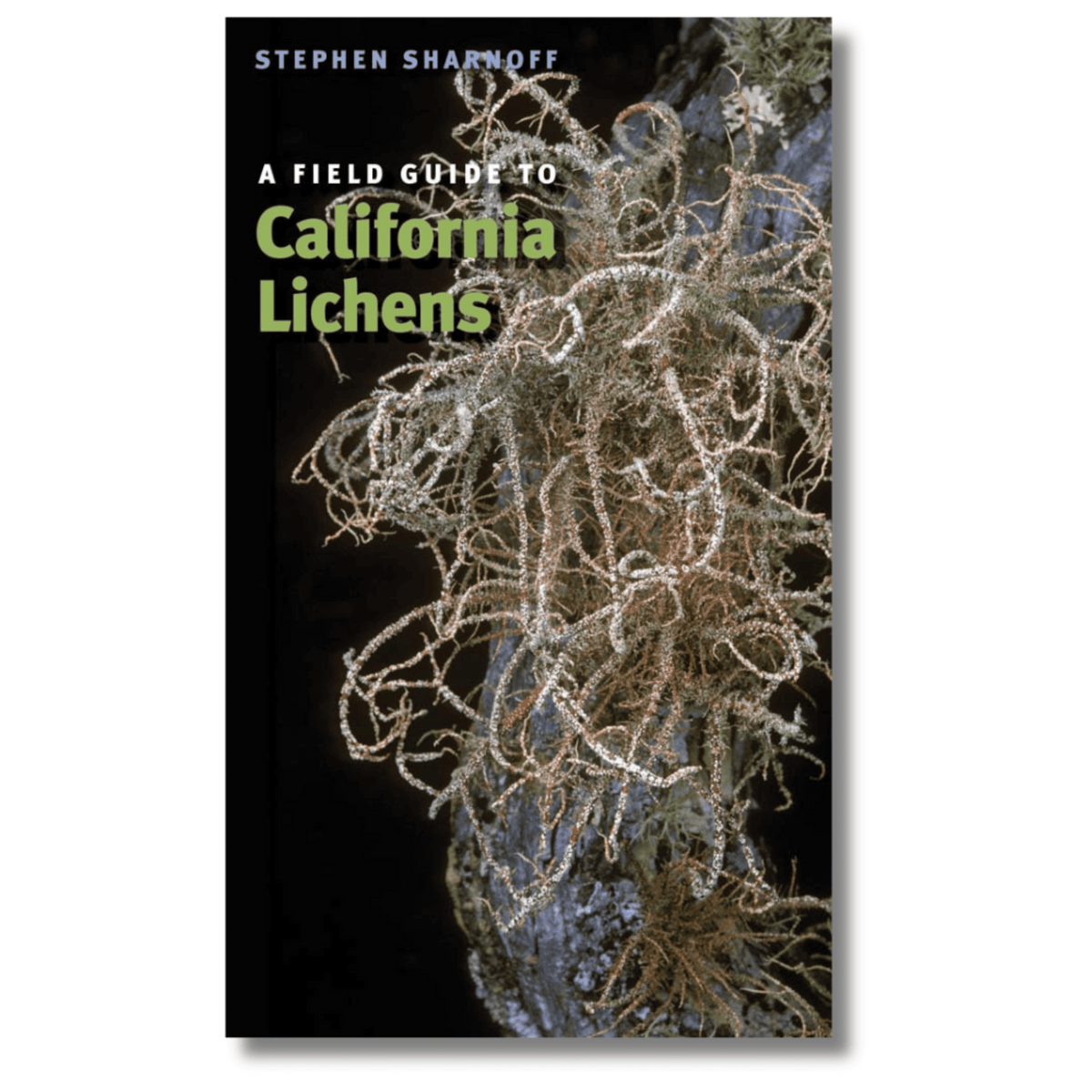 Field Guide to California Lichens – The ForestWatch Store