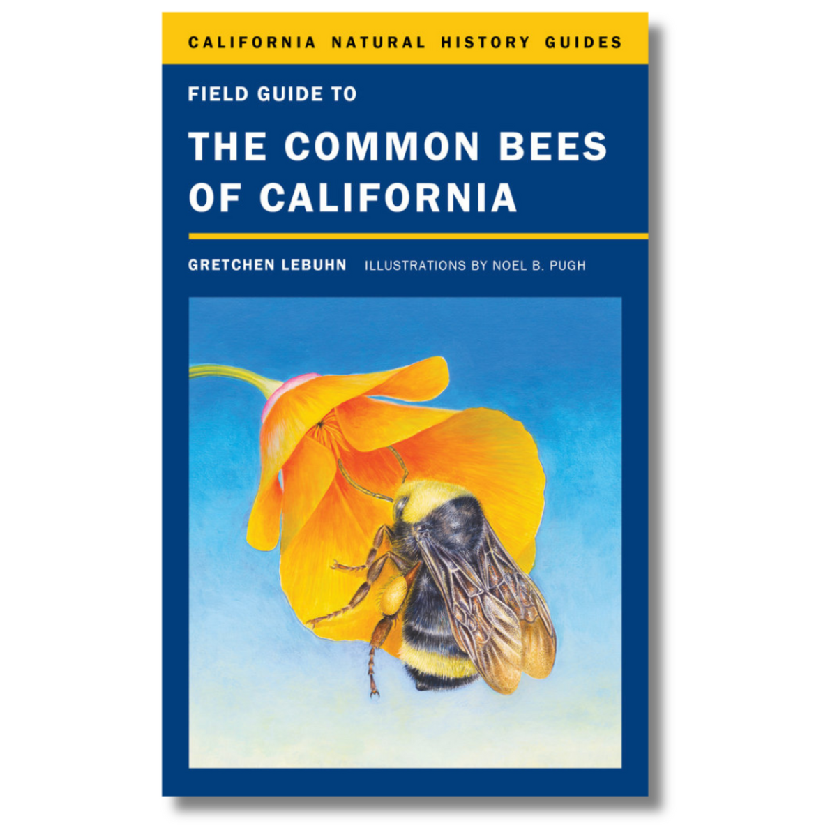 Field Guide to the Common Bees of California – The ForestWatch Store