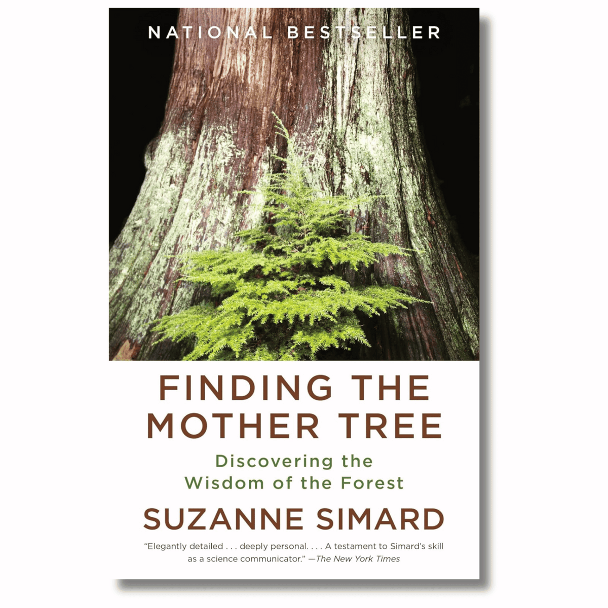 Finding the Mother Tree: Discovering the Wisdom of the Forest – The ...