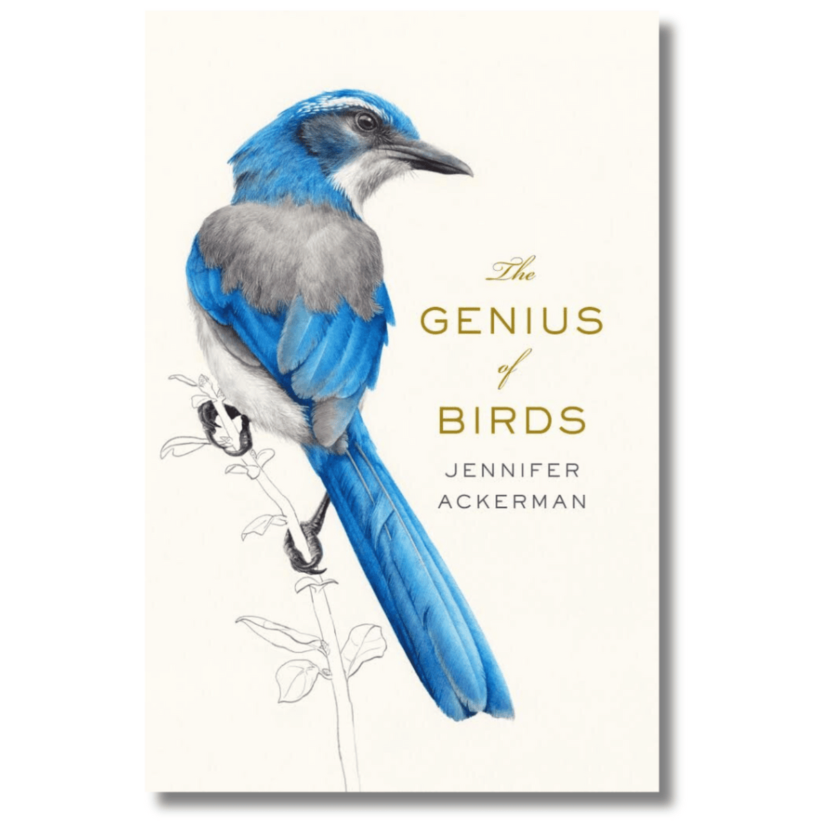 The Genius of Birds – The ForestWatch Store