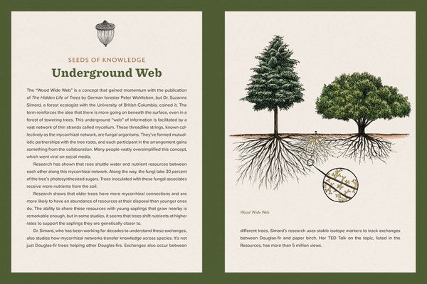 Knowing the Trees: Discover the Forest from Seed to Snag – The ...