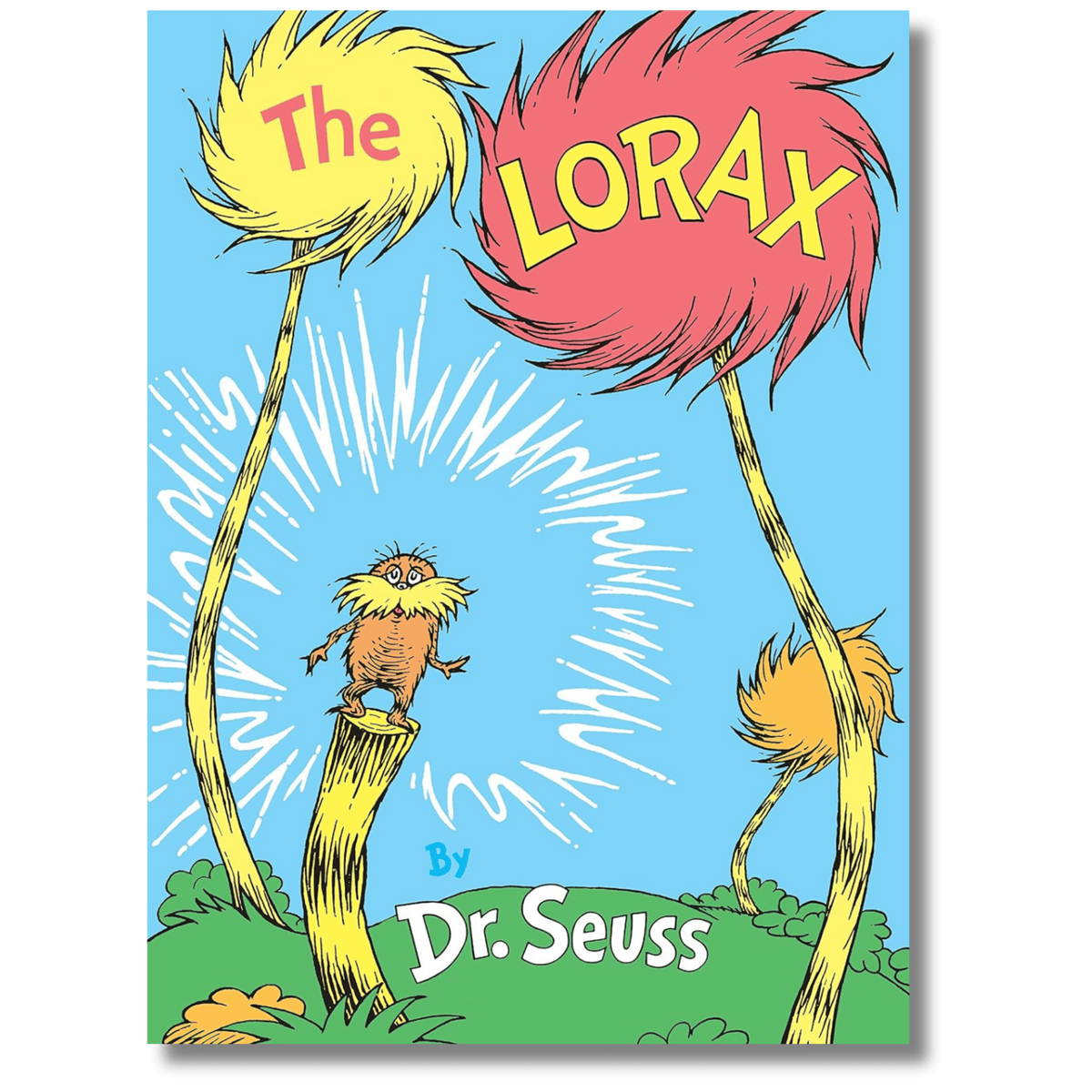 The Lorax – The ForestWatch Store